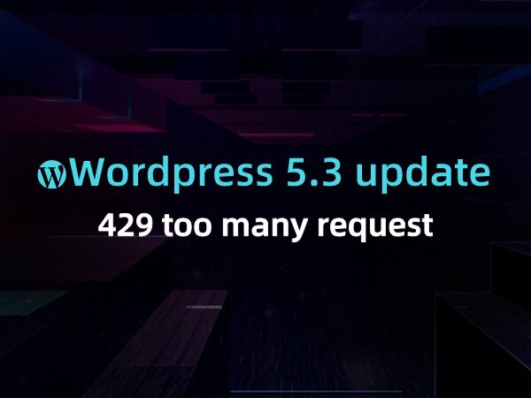 更新WordPress 5.3版本时提示too many request 429错误解决方法 - 白天博客